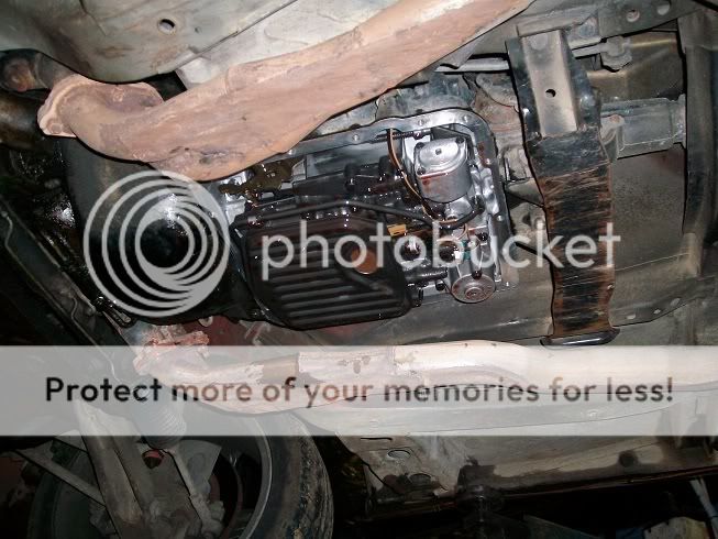 Auto sump plug | Just Commodores