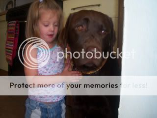 Cowlicks, bolo spots and other oddities! | Labradors Forums