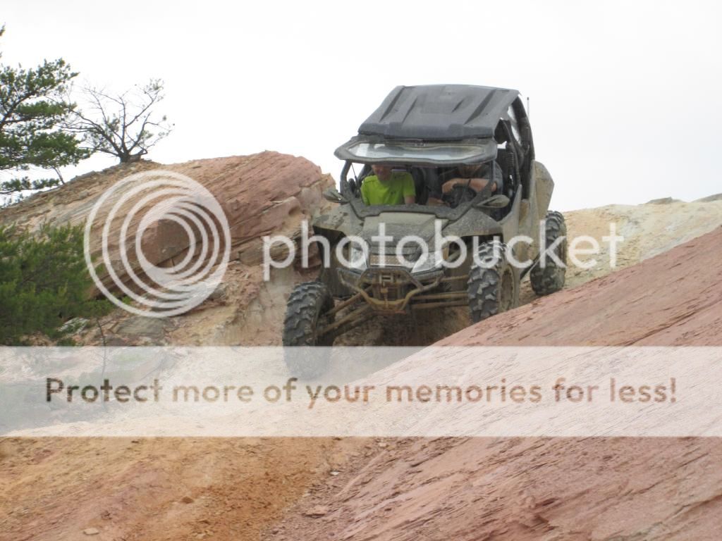 Royal Blue Wildcat Gathering. | Wildcat Forum